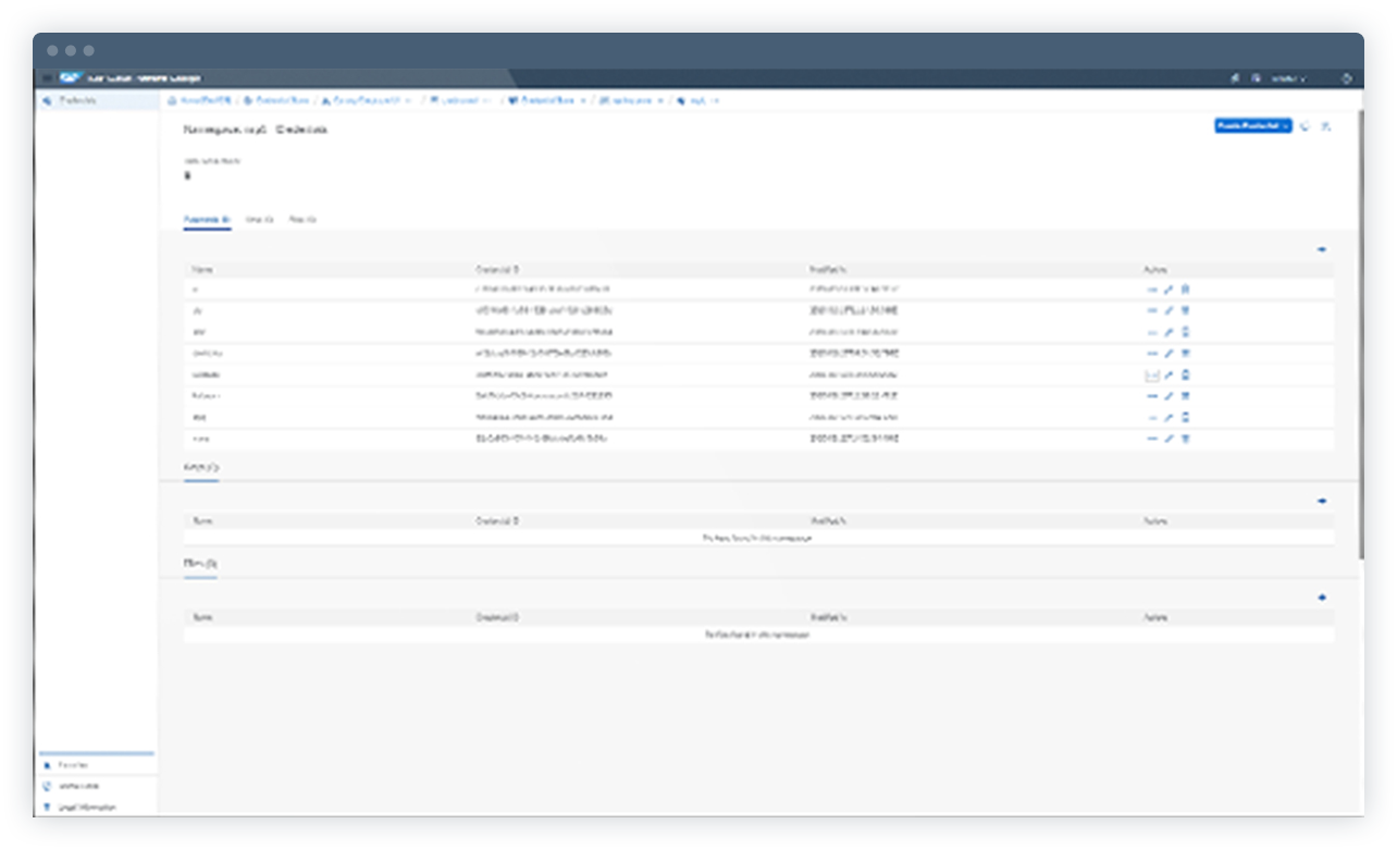 SAP Credential Store
