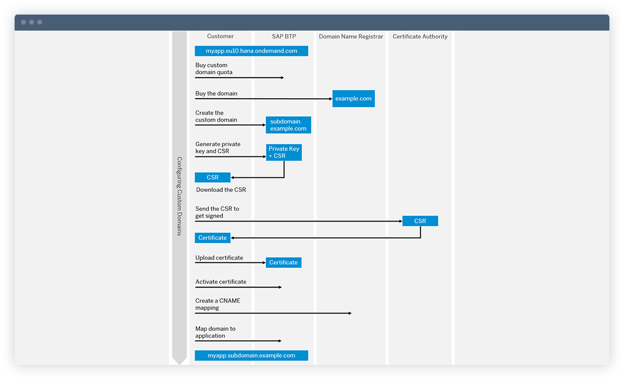 SAP Custom Domain Service