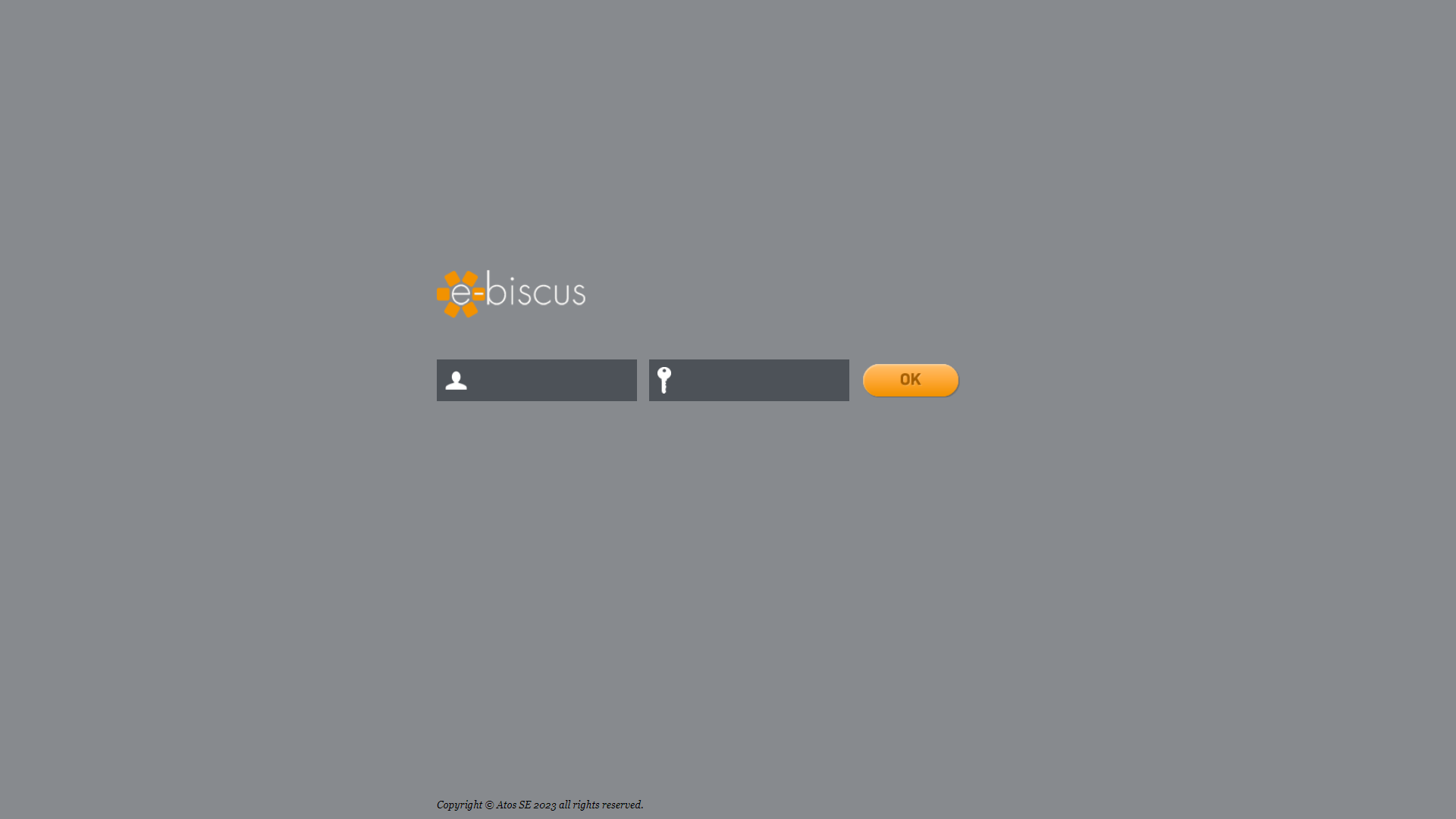 E-Biscus – Tax and Customs solution