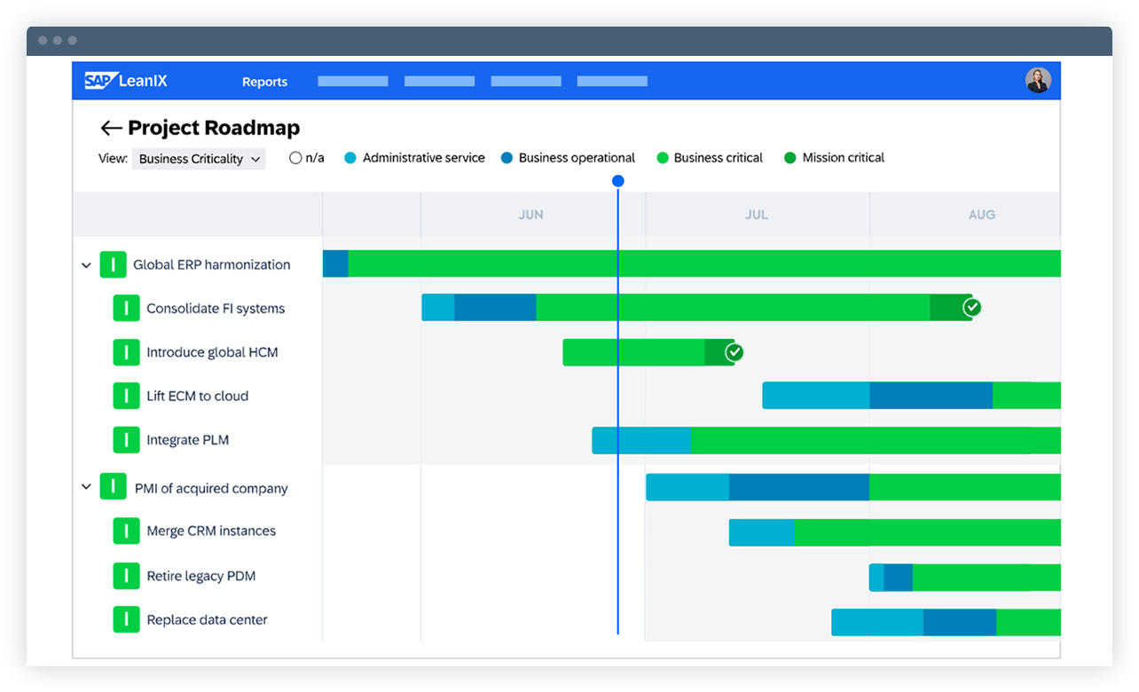 SAP LeanIX solutions